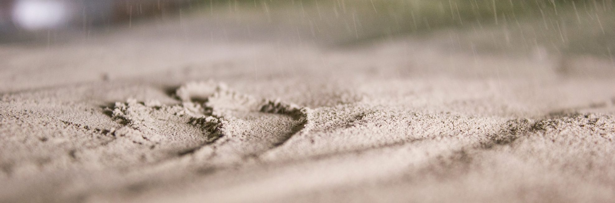 Vortex layer device - GlobeCore